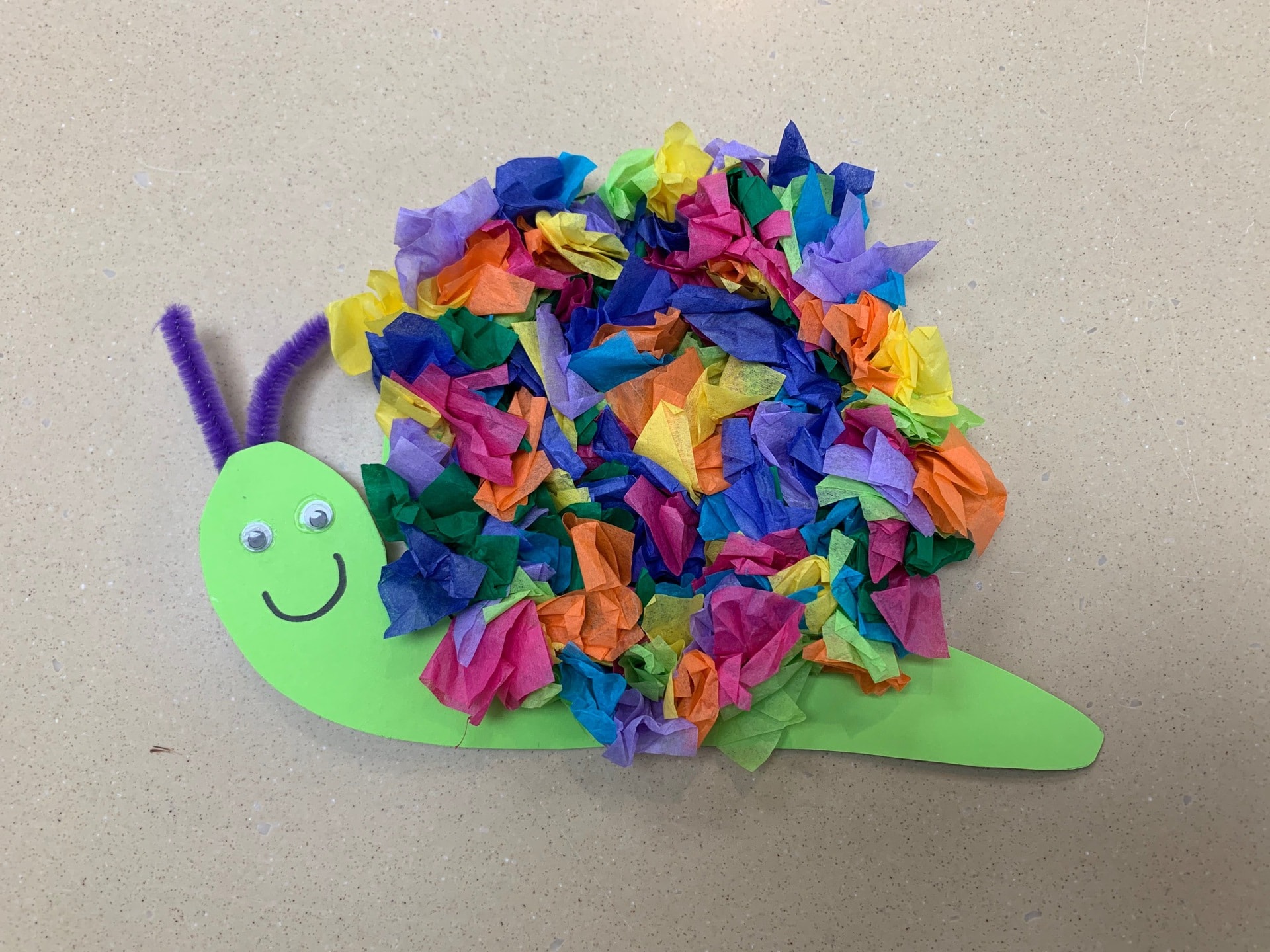 Snail Craft Kit | Acorn